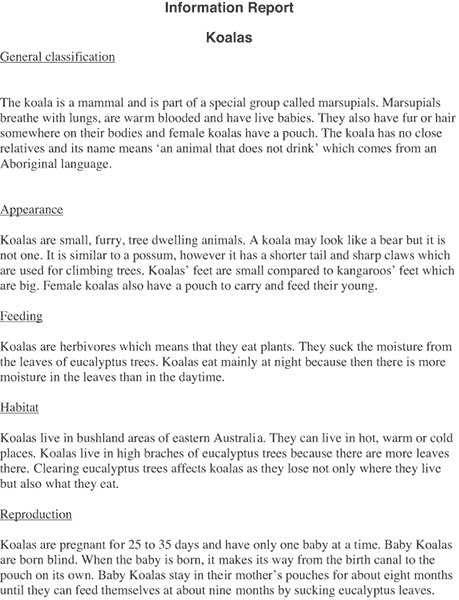 ARC Information Report On An Animal Sam